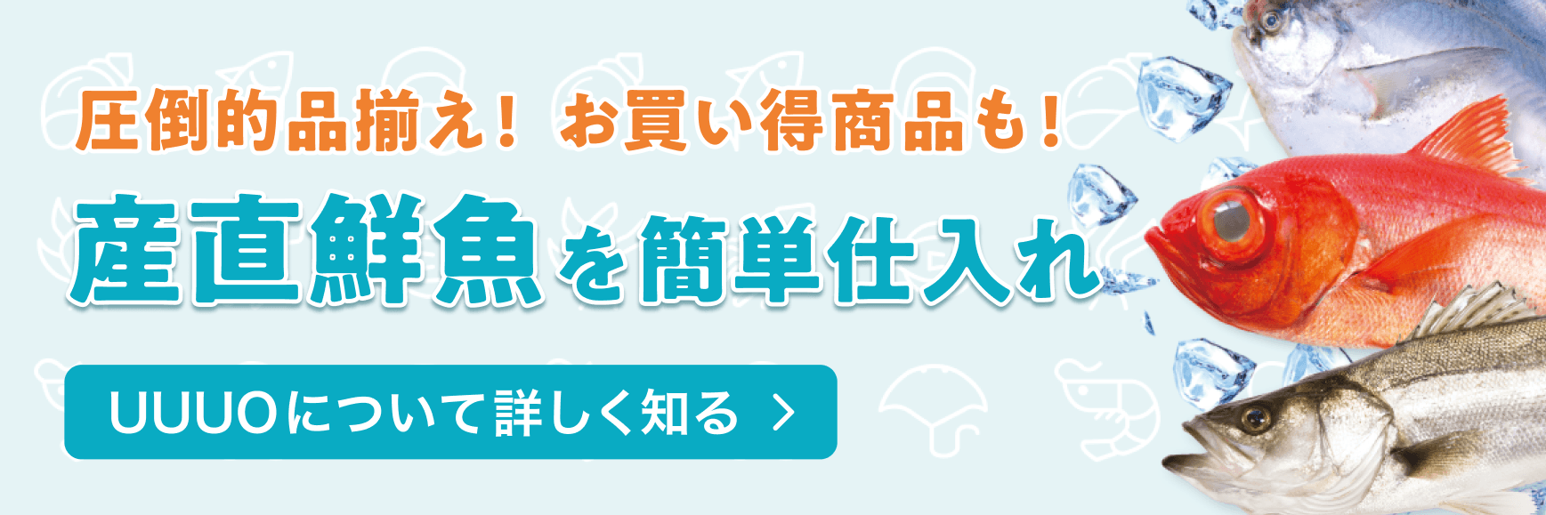 UUUO(ウーオ) | 100以上の漁港・市場から安定した仕入れが可能